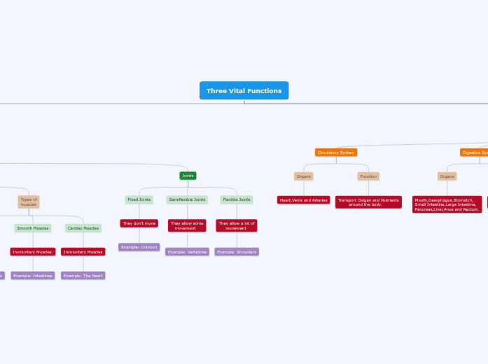 Three Vital Functions - Mind Map